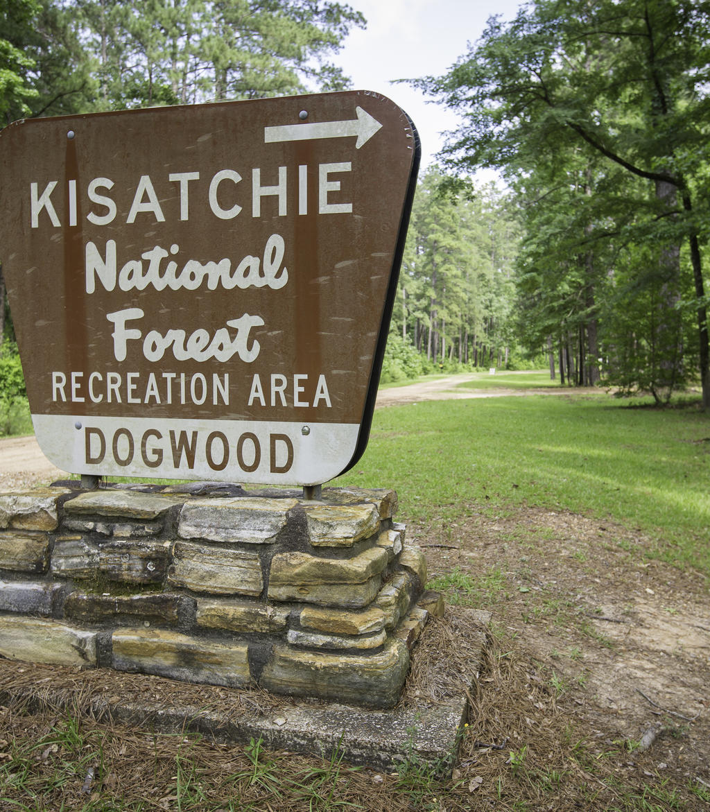 Longleaf Trail Byway | Louisiana Byways