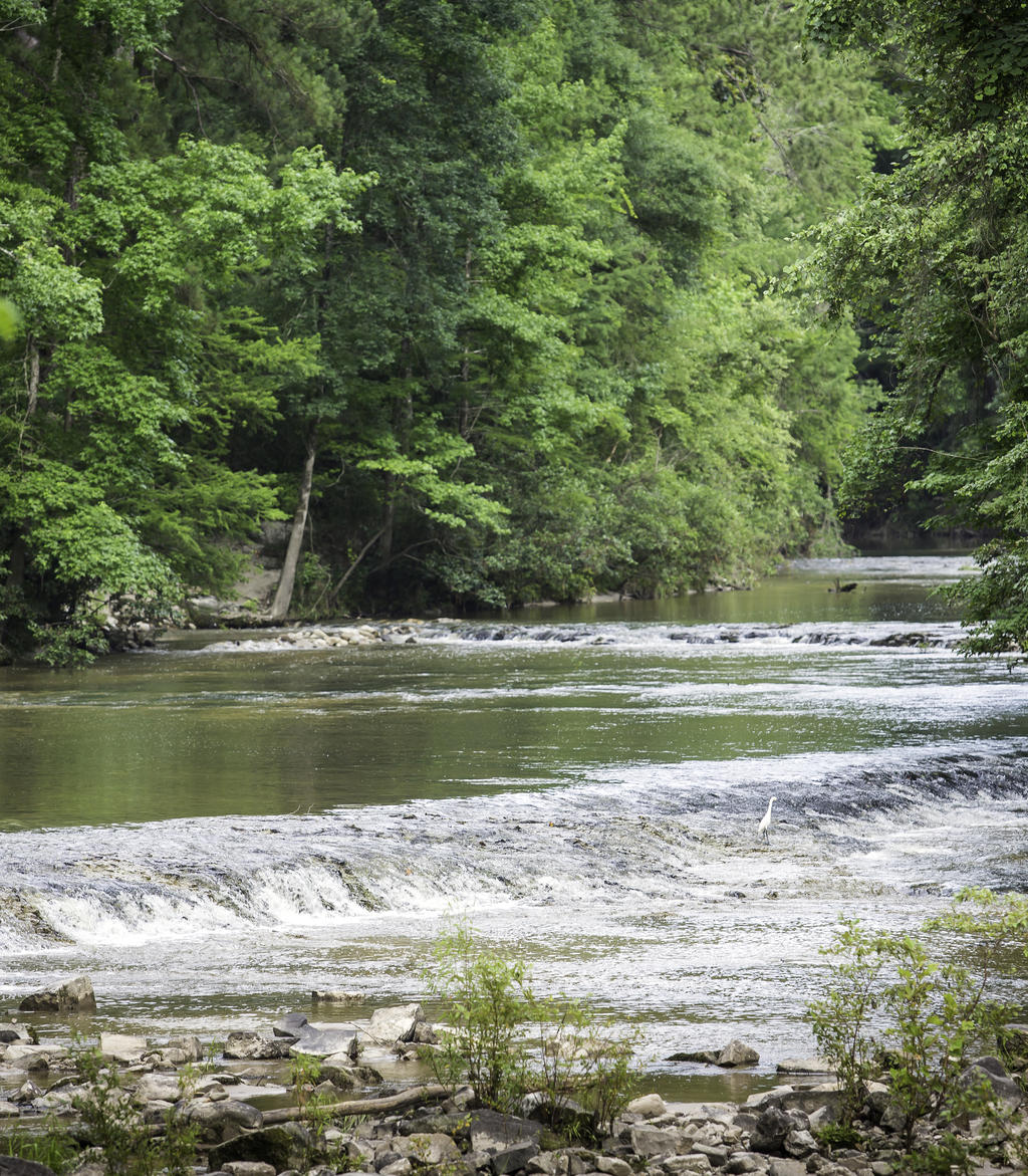 Longleaf Trail Byway | Louisiana Byways